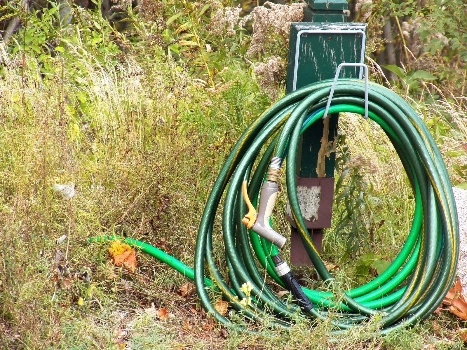 Discover the Best Garden Hose 2026