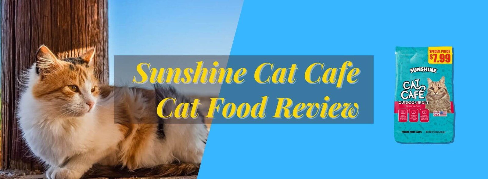 Discovering the Best Sunshine Cat Cafe Cat Food Review 2026