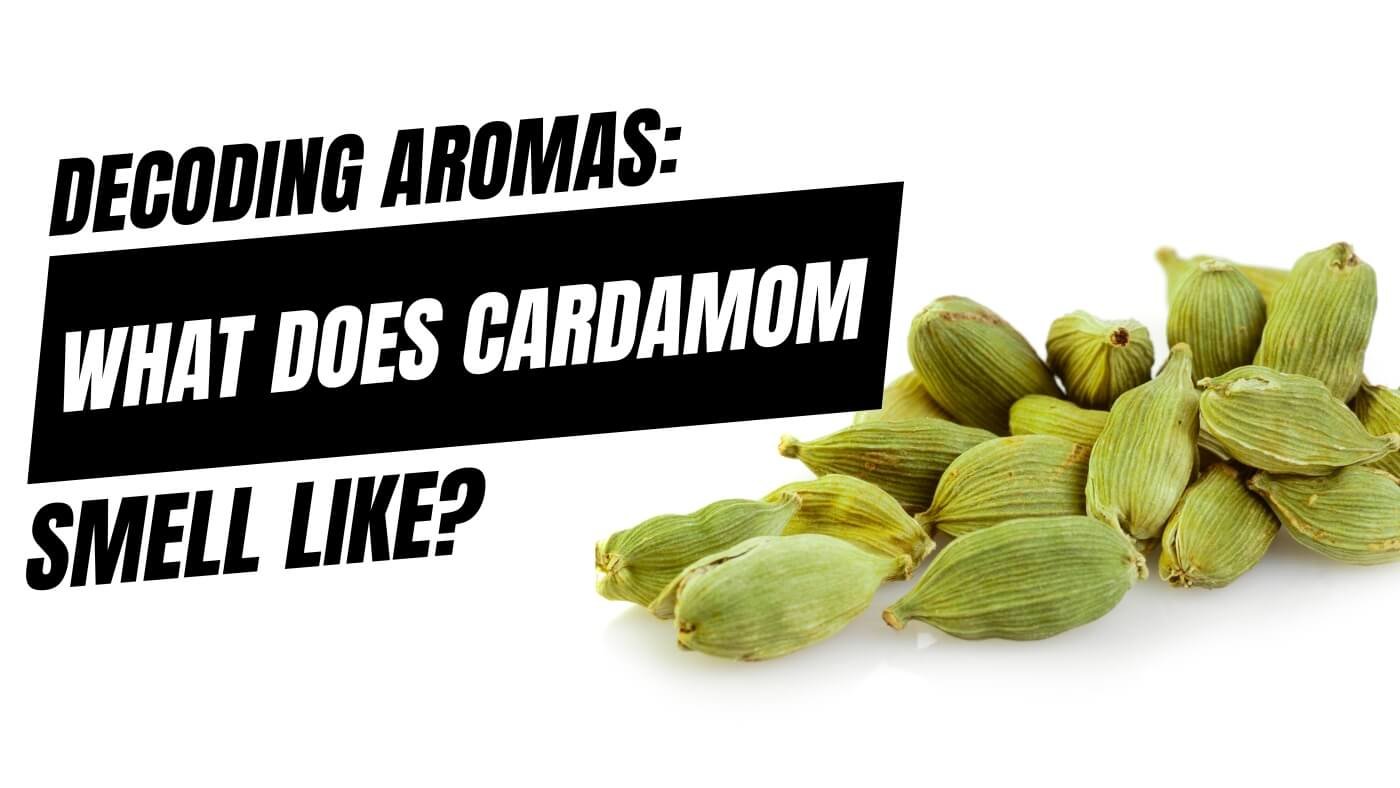 What Does Cardamom Smell Like: Aromatic Mystery Unveiled - Media BBC